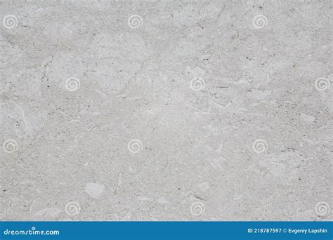 Finishing Stone Crustacean Shell Sedimentary Rock Stock Image Image