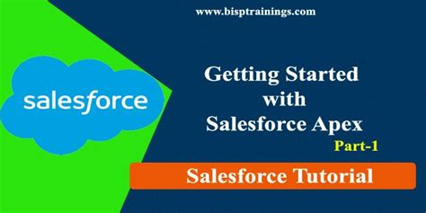 Apex Introduction Object Oriented Programming Technology Solutions