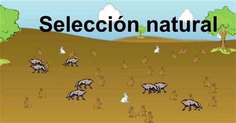 Teoria De Darwin Cursos Online Web