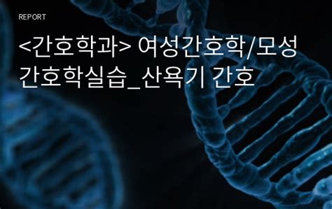 여성간호학모성간호학실습산욕기 간호 레포트