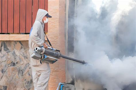 Fumigation Pest Control Services At ₹ 1sq Ft In Mumbai Id 2853333017930
