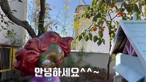이름다운집 라엘하우스 집꾸미기 정원용품 시멘트 화분1편 은퇴부부 취미 활동하며 행복하게 건강하게 ~ Youtube
