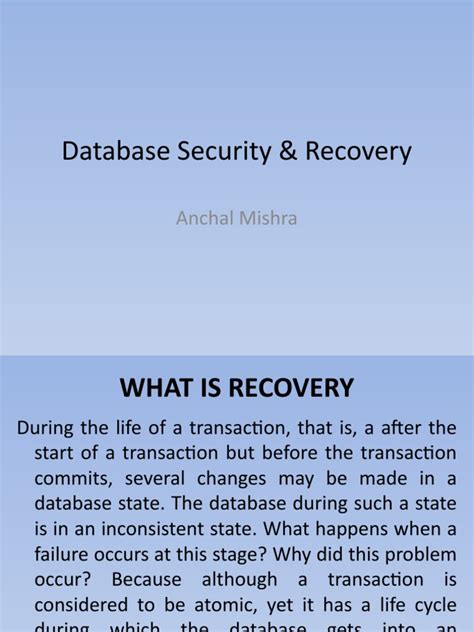 database security and recovery pdf databases database transaction