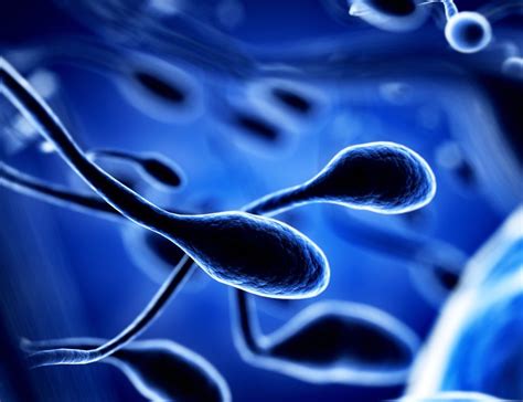 Semen Analysis Ivf In London Concept Fertility