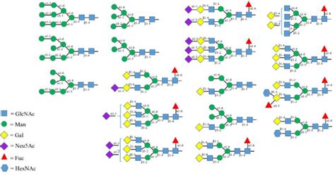 High Mannose And Complex Glycan Structures In Hiv Gp41 Structures Are