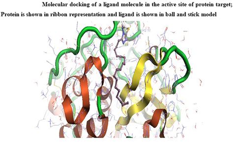 Molecular Docking Of A Ligand Molecule In The Active Site Of Protein