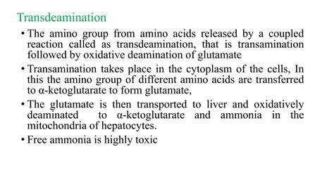 Protein Metabolism Transamination Deamination Fate Of Ammonia Urea