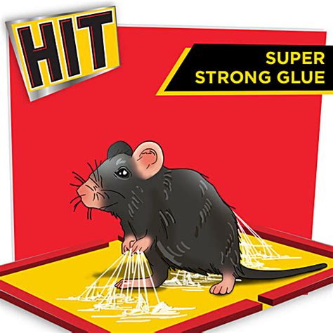 Buy Hit Rat Mouse Glue Pad No Smell Non Poisonous Online At Best Price Bigbasket
