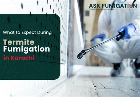 Termite Fumigation In Karachi