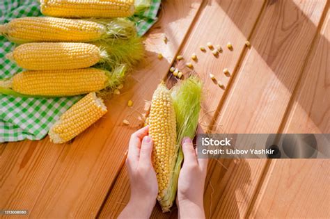 신선한 옥수수를 들고 있는 암컷손 소박한 나무 테이블에 옥수수에 신선한 옥수수 클로즈업 0명에 대한 스톡 사진 및 기타 이미지