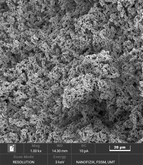 How Can I Improve My Encapsulation Method Researchgate