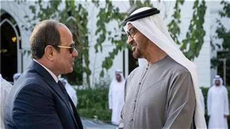 الرئيس السيسي ونظيره الإماراتي يؤكدان حرصهما على مواصلة التنسيق على