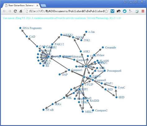 The User Interface Interactive Network For Fas Signaling Pathway