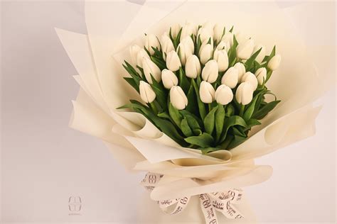 جميع المنتجات ميرام