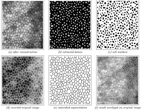 opencv - watershed segmentation always return black image - Stack Overflow