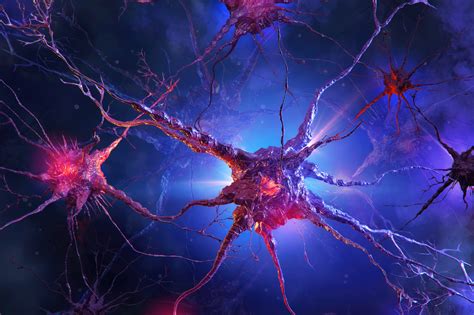 Inside The World Of Three Photon Neuronal Imaging Labs