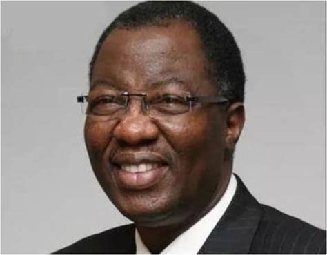 Ex Gov Gbenga Daniel Wins Senatorial Election In Ogun Daily Post Nigeria