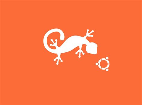 How To Install Ssh Server On Ubuntu 1310 Saucy Salamander Xappsoftware