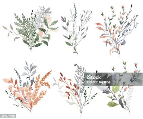꽃다발 잎 결혼식에 대한 스톡 벡터 아트 및 기타 이미지 결혼식 그리기 낮 Istock