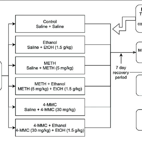 Experimental Design Shown As A Flowchart 4 Mmc Download
