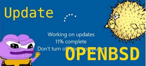 solve a failed “fw update” in openbsd by dr nicola mingotti medium