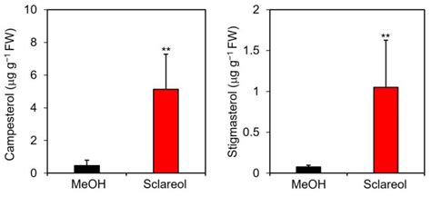 Phytosterols Are Involved In Sclareol Induced Chlorophyll Reductions In