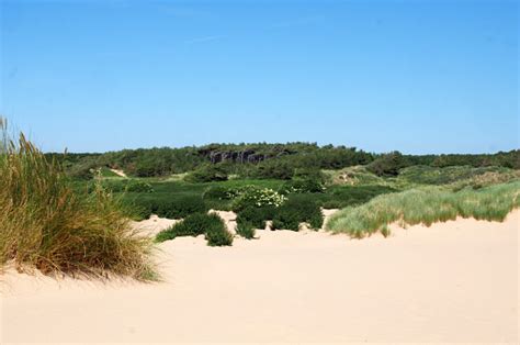 밝은 여름 날에 멀리 숲 풍경과 마람 잔디와 식물로 덮여 모래 언덕 Formby Merseyside의 해변 0명에 대한 스톡