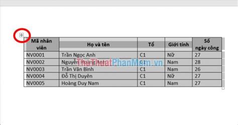 Rất Hay Cách xóa đường kẻ bảng trong Word