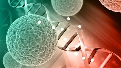 Understanding Cancer Mutations Basics Causes Types And Detection