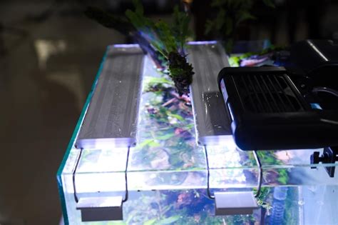 Aquarium Biofilter Images Free Download On Freepik