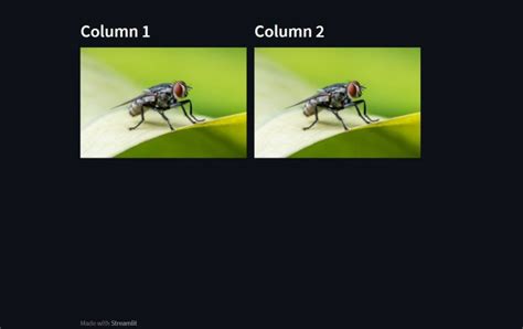 Layout Streamlit Application