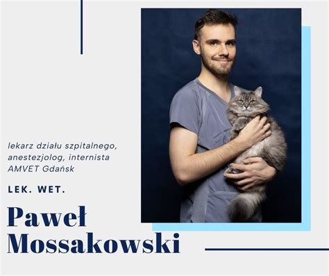 Amvet Kraków