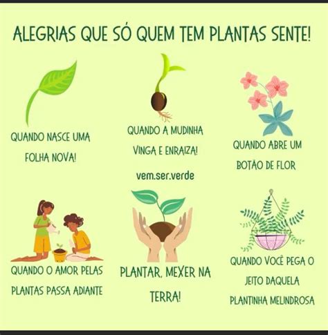 Pin De Cinthiacastro Em Gardening Jardinagem Para Iniciantes Como