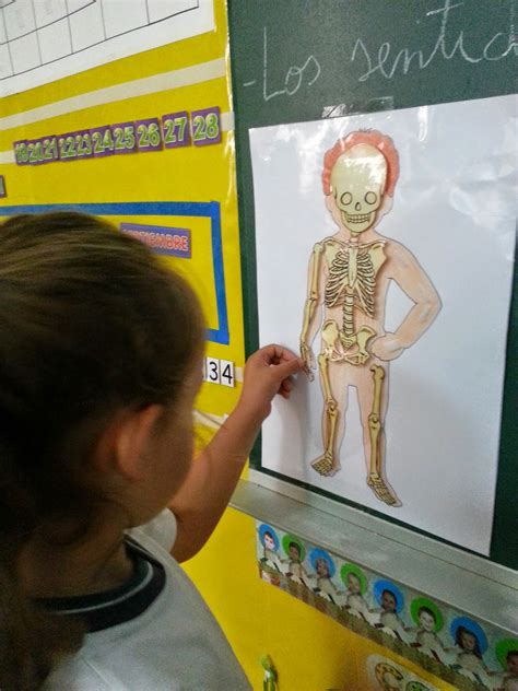 Los peques del Sanra El cuerpo humano el esqueleto I años