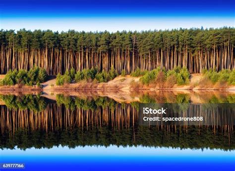 Horizontal Sisi Sungai Yang Cerah Dramatis Hutan Refleksi Backgroun