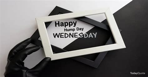248 New Hump Day Inspirational Quotes To Get You Through