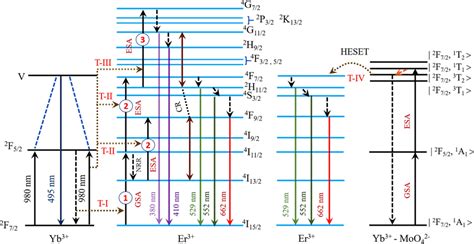 Energy Transfer Pathways Between Yb³⁺ Er³⁺ Ions And Yb³⁺moo4²⁻ Dimer