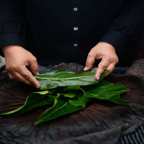 12 Kebaikan Bertungku Untuk Mak-mak Nak Cepat Langsing (2025)