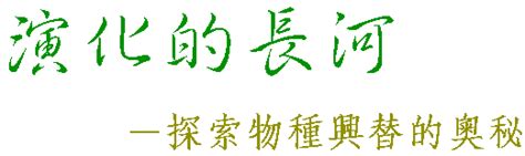 石頭城－演化的長河