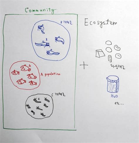 재미있는 사실 재미없는 생태학의 용어 세계 개체 개체군 군집 생태계 네이버 블로그