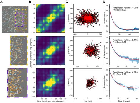 Non Homogeneous Initial Conditions Can Bias Statistics A A Random Download Scientific