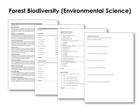 Forest Biodiversity Environmental Science Made By Teachers