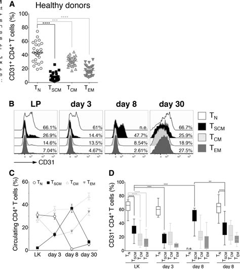 Figure 3 From Generation Of Human Memory Stem T Cells After Haploidentical T Replete