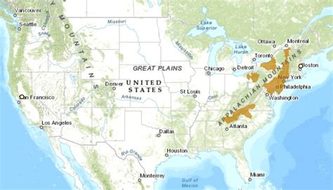 Saving The Tiny Bog Turtle Could Have A Big Impact On Conservation