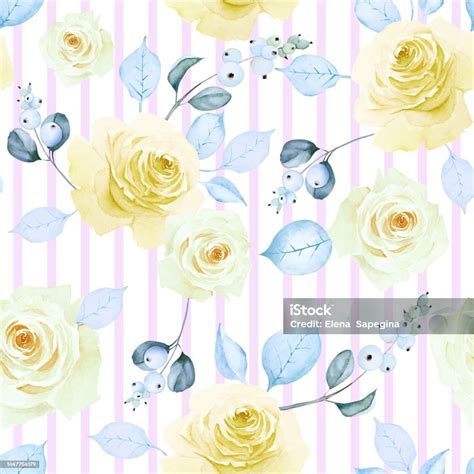 눈딸기 가지와 분홍색 세로 줄무늬 배경이 있는 흰색에 파란색 잎이 있는 섬세한 노란색 장미의 매끄러운 패턴 손으로 그린 수채화 수채화에 대한 스톡 벡터 아트 및 기타 이미지
