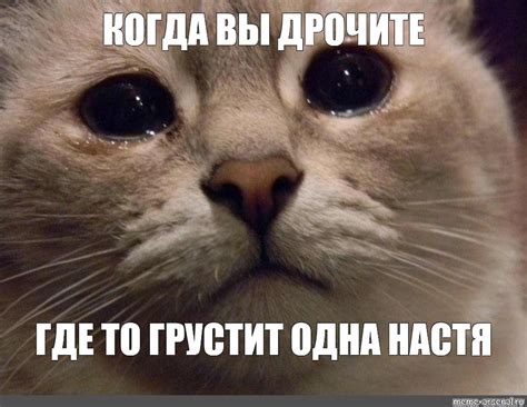Meme КОГДА ВЫ ДРОЧИТЕ ГДЕ ТО ГРУСТИТ ОДНА НАСТЯ All Templates