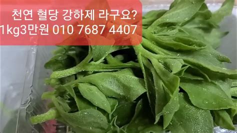 이겨울 신선한 생채 아이스플란트 꼭 드셔 보세요 한번 드신분은 계속 드시고 싶은 수정 Youtube