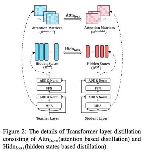 Innovative Bert Knowledge Distillation Papers That Have Changed The