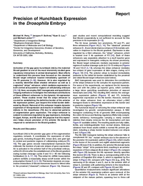 Pdf Treatment Outcomes Using The Paul Glaucoma Implant To Control Intraocular Pressure In Eyes