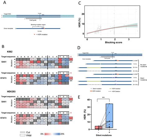 Addition Mutation